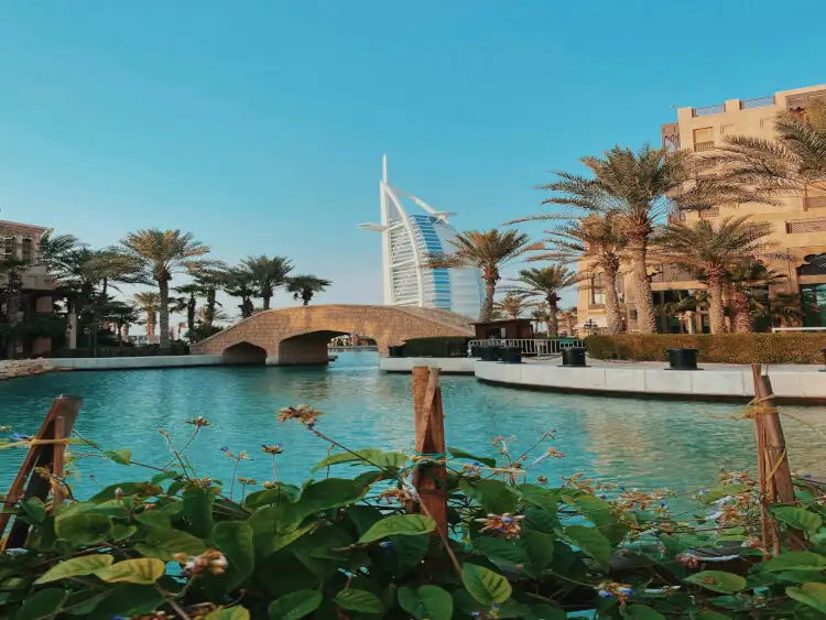 Top UAE Tours, Activities & Tickets | 0+ Best Tours & Excursions | 2025